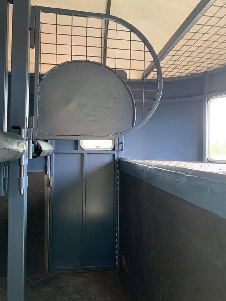 2009 Olympic Royal Float | Fur Babies Central